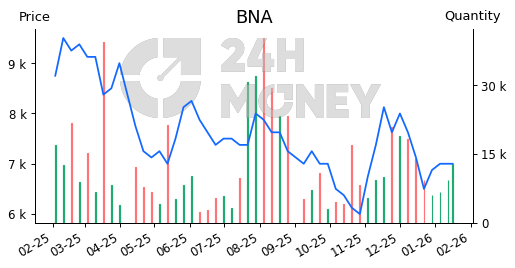 BNA: CTCP Đầu tư Sản xuất Bảo Ngọc | Tổng quan | 24HMoney