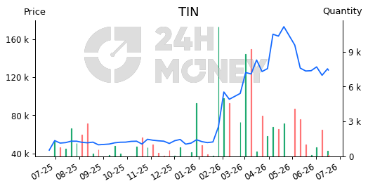 TIN: Công ty Tài chính Cổ phần Tín Việt | Tổng quan | 24HMoney