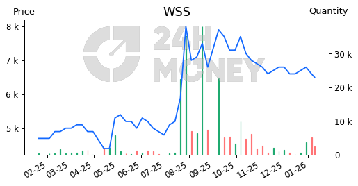 WSS: CTCP Chứng khoán phố Wall | Tổng quan | 24HMoney